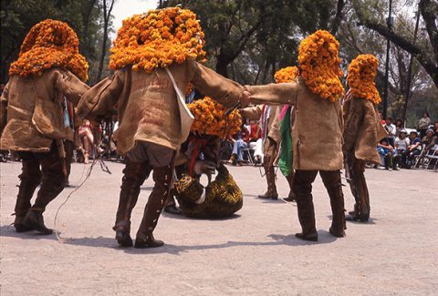 Los Tlacololeros. Registro en Guerrero – CID